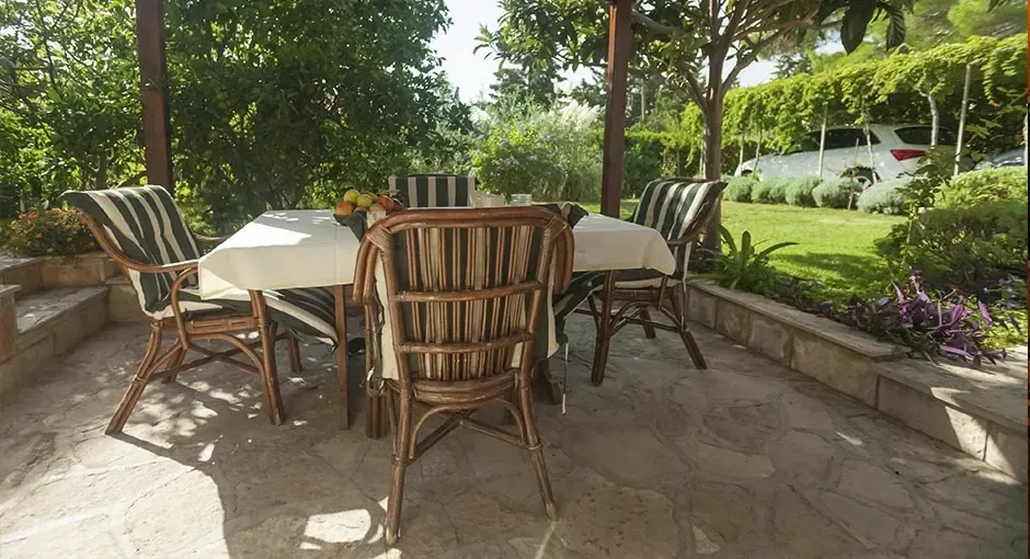 Style and Energy Savings: Strategic Shade Tree Planting | Mitsubishi ...